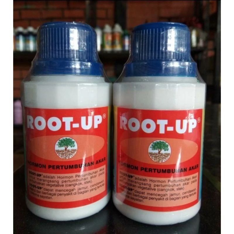 Jual Root Up 100 gram - Root Booster 100 gr - Suplemen Akar Tanaman ...