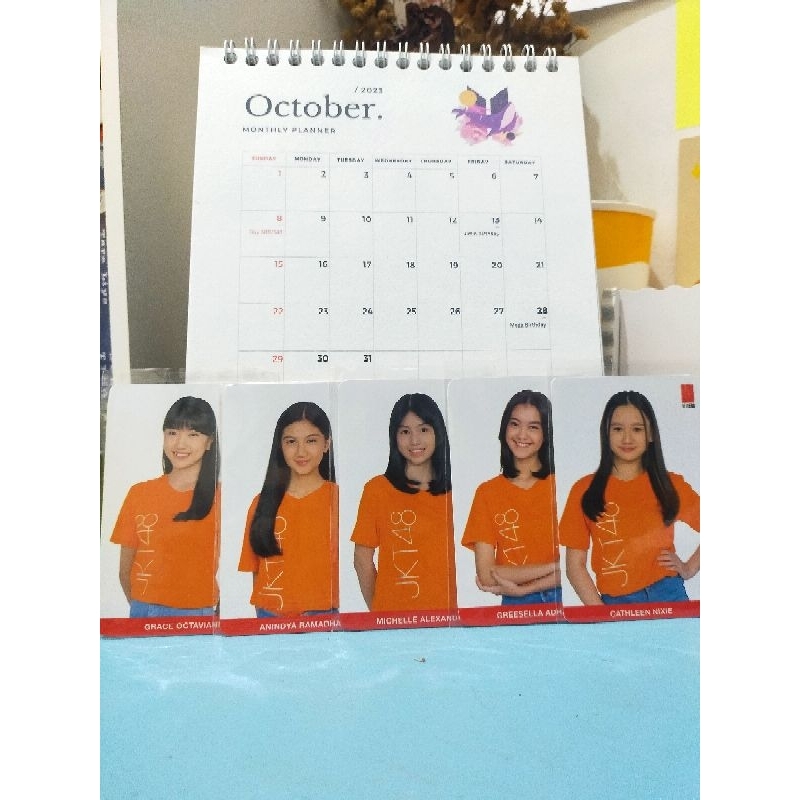 Jual PhotoCard JKT48 Nice To See You Gen 11 Michie Greesel Anindya ...