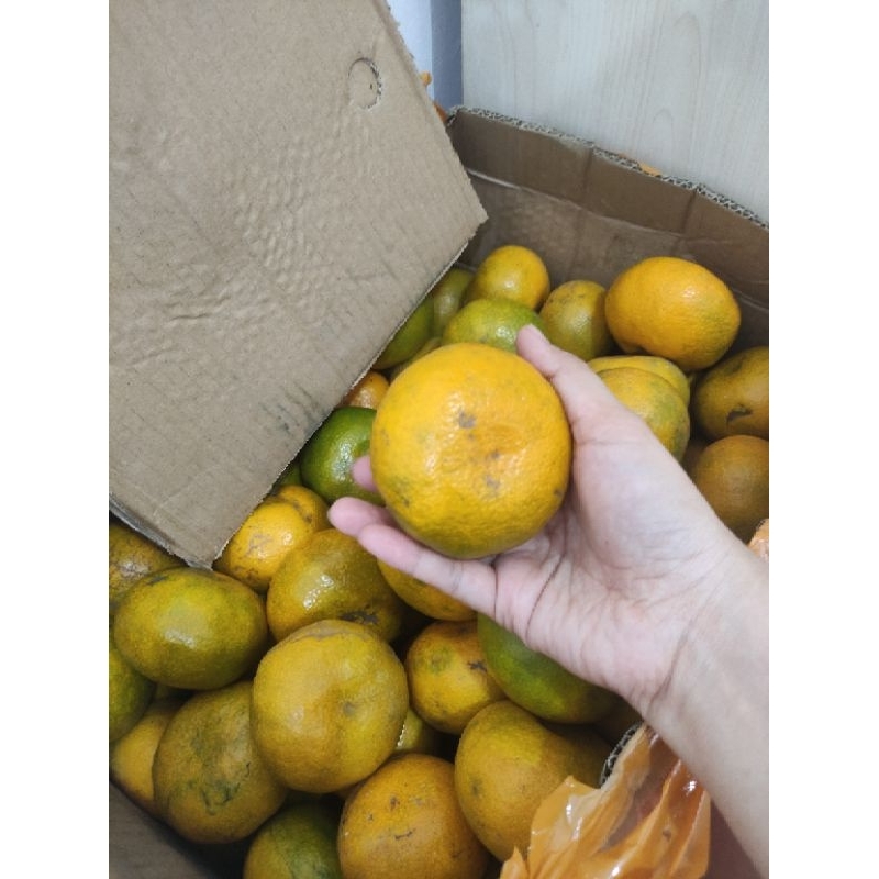 Jual Jeruk Medan Manis dan Segar 1kg termurah | Shopee Indonesia