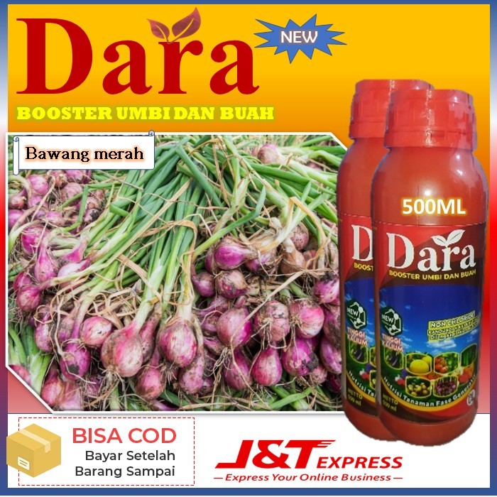 Jual promo produk baru pupuk dara isi 500ml pupuk booster umbi dan buah - pupuk booster untuk ...