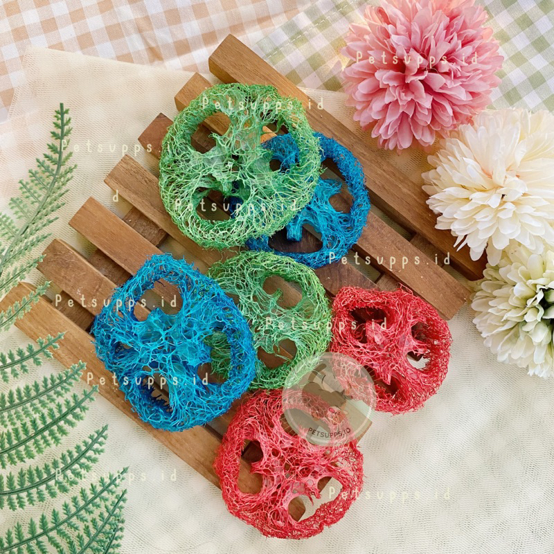 Jual (2pcs) Colorful loofah toys for rabbit | hamster guinea pig bird ...
