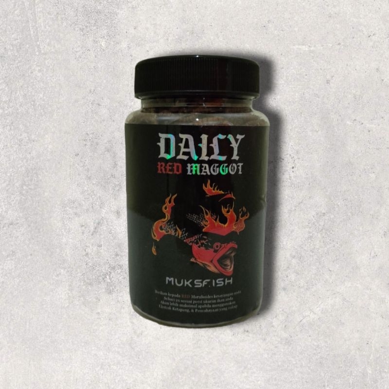 Jual DAILY RED MAGGOT. HIGH NUTRITION BEST RED CHANGER FOR RED ...