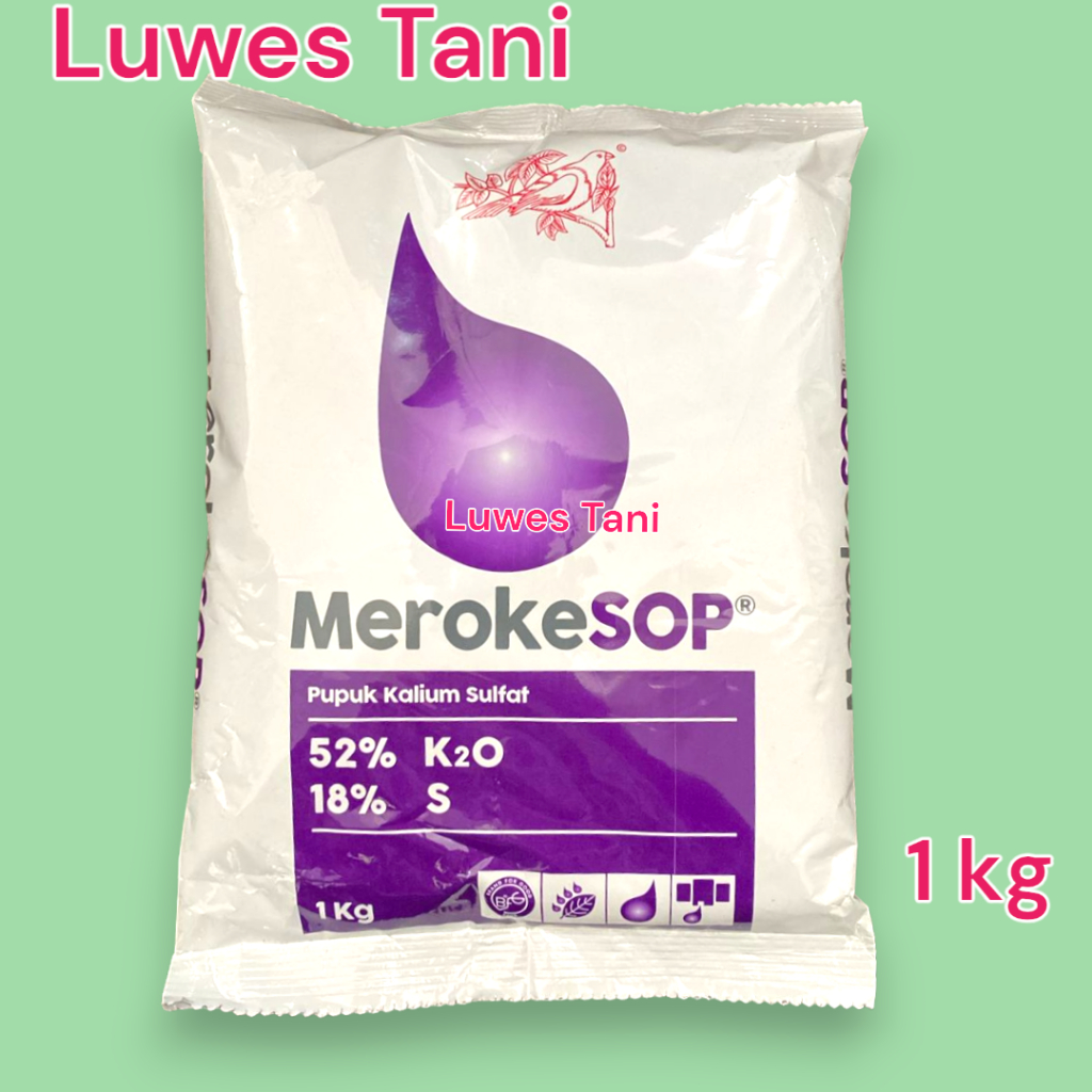 Jual (Kemasan Repack) Meroke SOP 1 kg Pupuk Kalium Sulfat Hidroponik ...