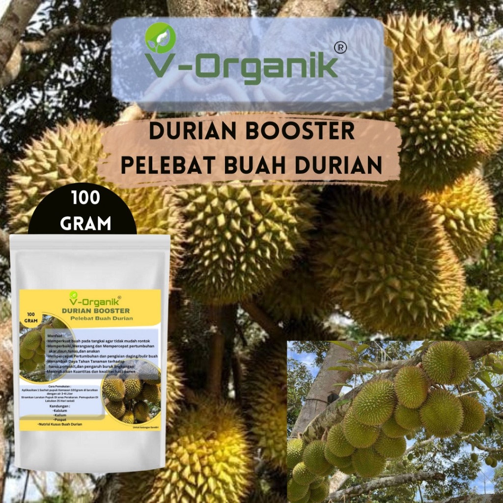 Jual Pupuk Booster Durian Pelebat Durian | Shopee Indonesia
