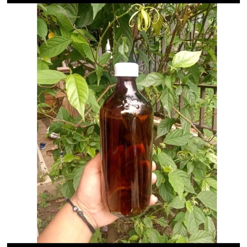 Jual botol kaca coklat 500 ml / botol racun | Shopee Indonesia