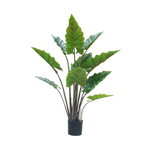 Jual 140Cm Taro Tree Short Stem Pohon Hias / Pohon Palsu / Tanaman Hias ...