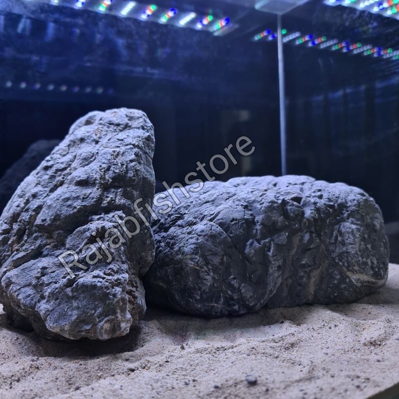 Jual Batu hiasan aquarium/batu aquascape /batu turly/batu pasir ...