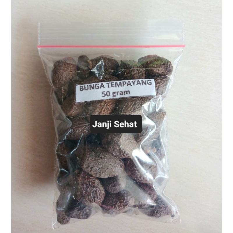 Jual Bunga Tempayang Buah Tempayang 50gr | Shopee Indonesia