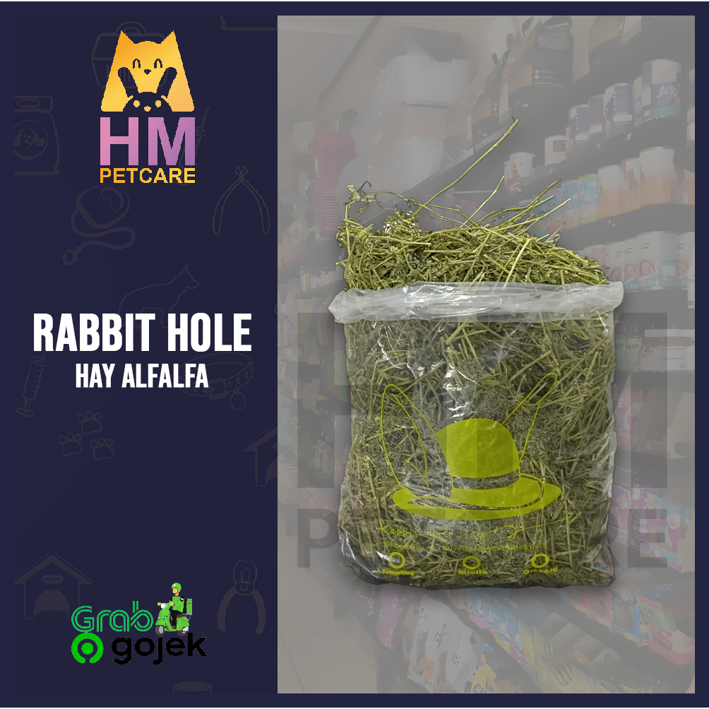 Jual RABBIT HOLE HAY Alfalfa 500 Gram - Rumput Hay Alfalfa Makanan ...