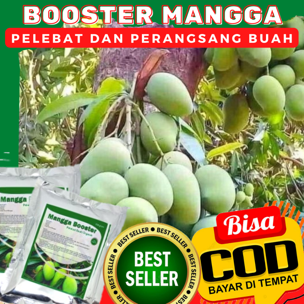 Jual Booster Mangga Mr. Farm (Pupuk Organik Booster Khusus Mangga ...