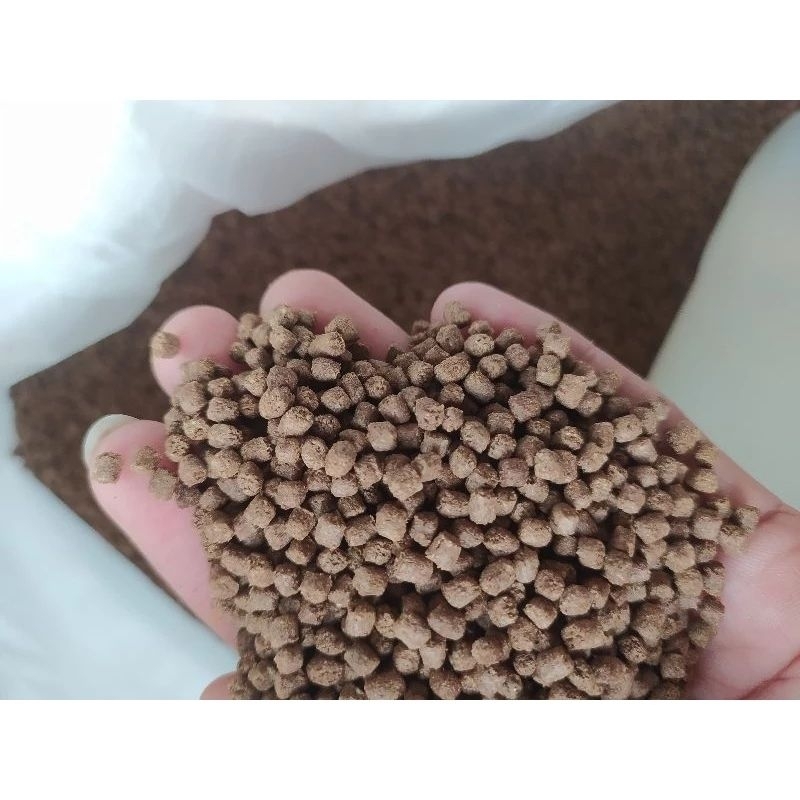 Jual Pelet pakan ikan apung air tawar lele gabus patin koi mas nila 1kg ...