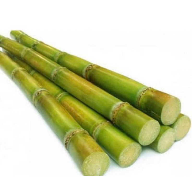 Jual Tebu hijau segar tebu madu manis alami 1 kg-az | Shopee Indonesia