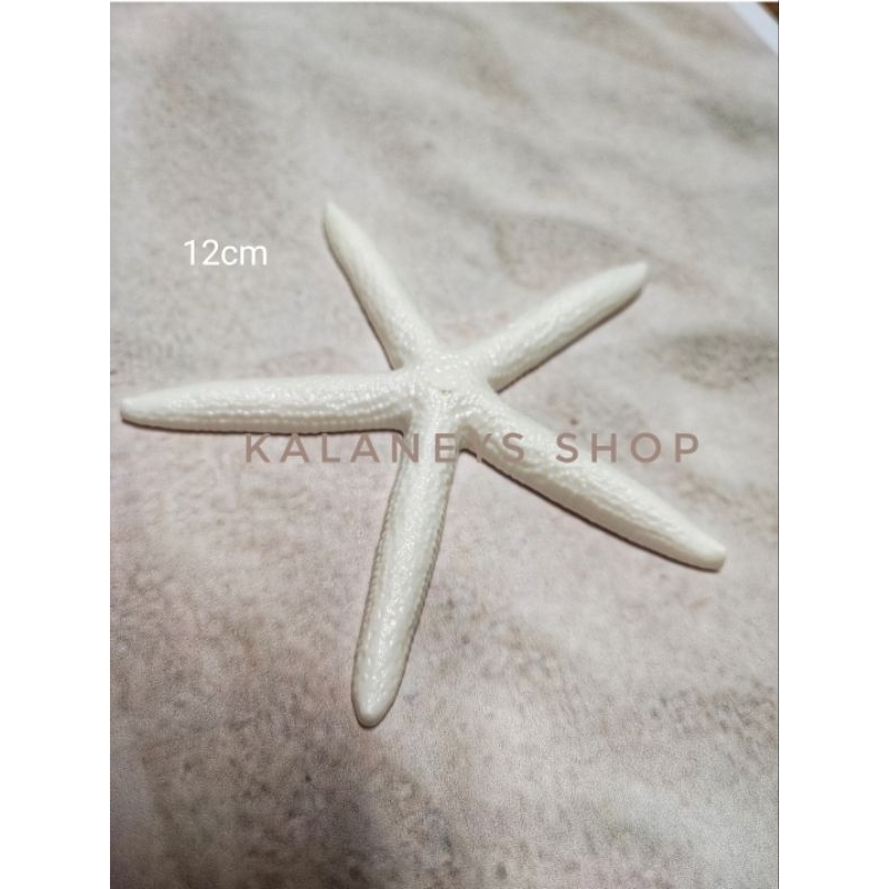 Jual Topper Bintang Laut, Topper Kerang Laut, Hiasan kue Tema Laut ...