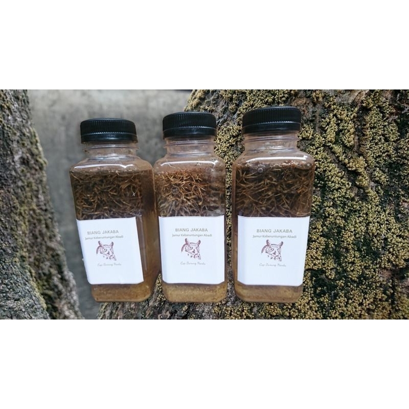 Jual BIANG ATAU INDUK JAMUR JAKABA PUPUK ORGANIK ISI 250 ML | Shopee ...