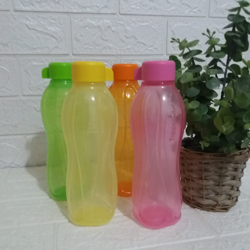 Jual Eco bottle 500 ml | Shopee Indonesia