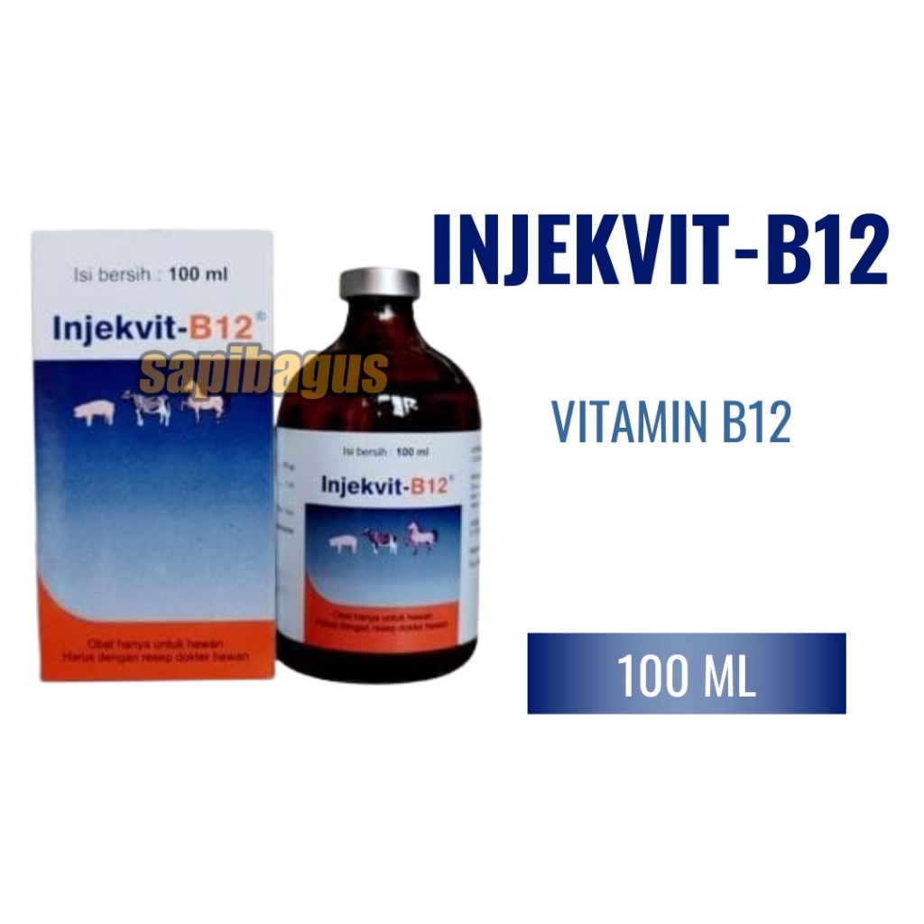 Jual Injekvit B12 - Vitamin B12 Ternak Sapi - Sapibagus | Shopee Indonesia