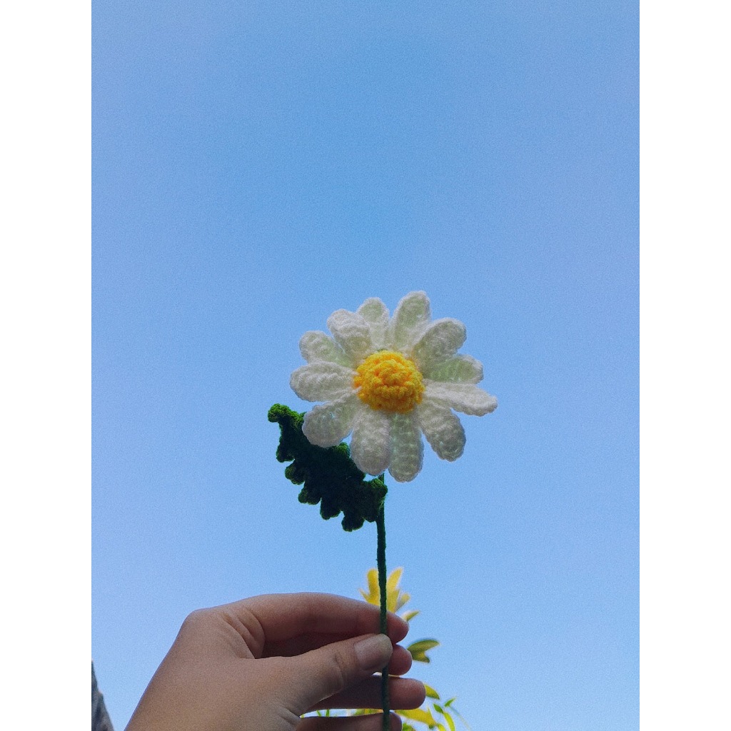 Jual [READY STOCK] Daisy Amigurumi - Bunga Daisy Rajut Daisy Crochet ...