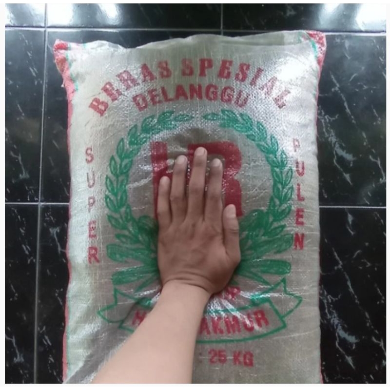 Jual COCOPEAT/ COCOPIT KARUNG 25KG/ SABUT KELAPA | Shopee Indonesia