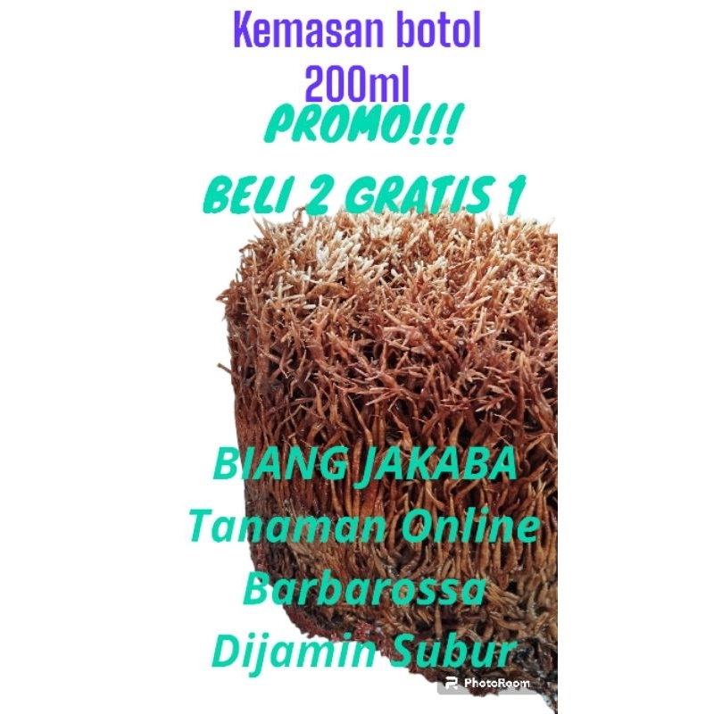 Jual Biang jakaba + air jakaba poc beli 2 gratis 1 200ml | Shopee Indonesia