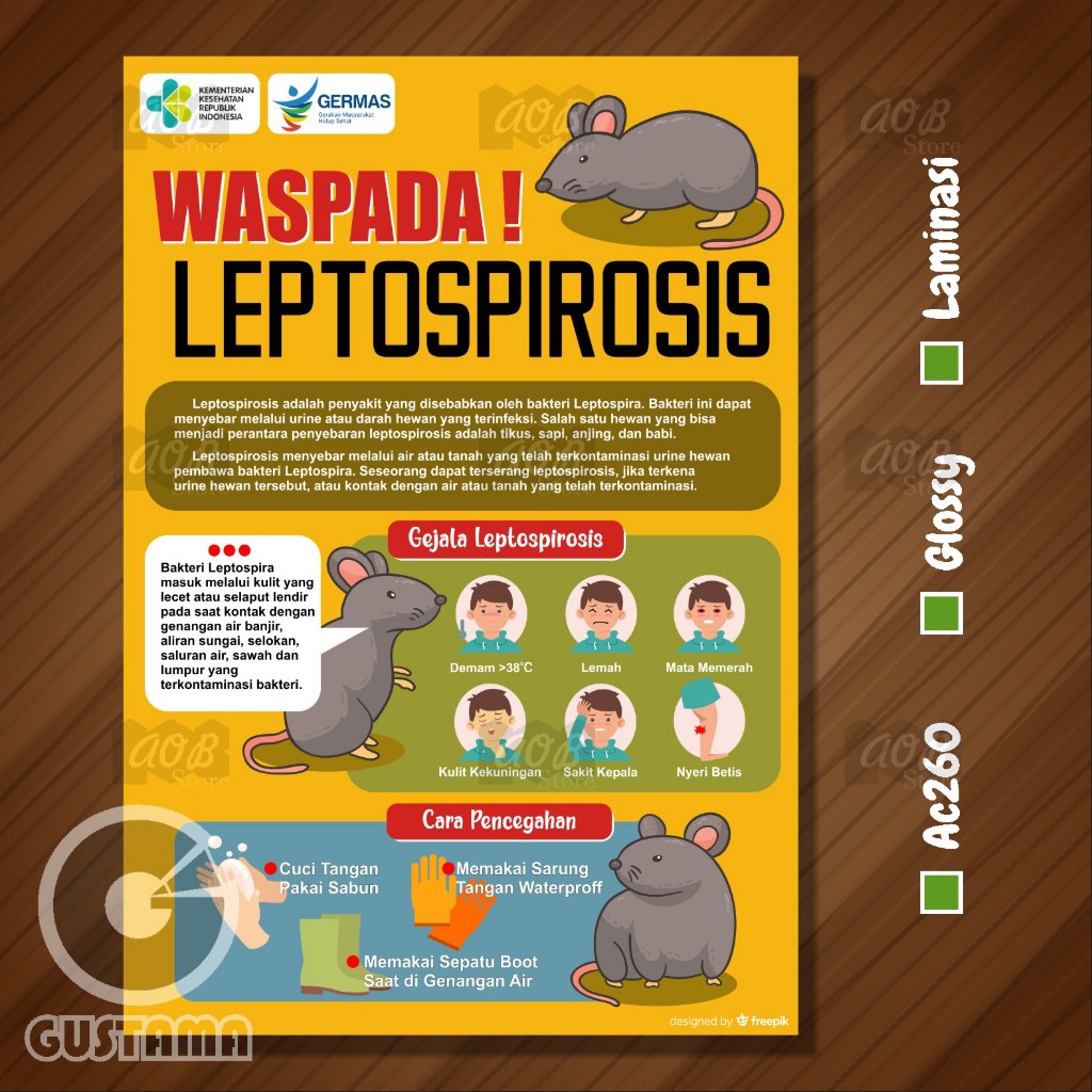 Jual Poster Waspada Leptospirosis, Poster Kesehatan Wipe and Clean A3+ | Shopee Indonesia
