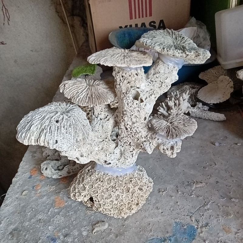 Jual Batu karang rangkai payung hias aquarium batu karang aquarium ...