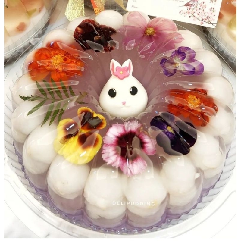 Jual Bunny lychee taro 24cm | Shopee Indonesia