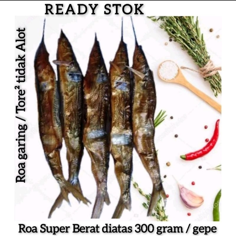 Jual READY Ikan Roa asap TERLARIS 1 gp 20 ekor ikan / Ikan Roa / Roa ...
