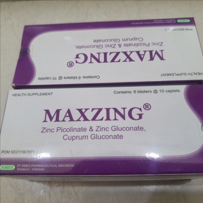 Jual MAXZING zinc box isi 60 kapsul | Shopee Indonesia