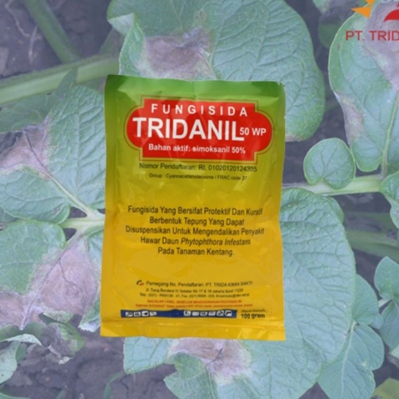 Jual Fungisida protektif dan kuratif TRIDANIL 50WP 100gr Bahan aktif ...