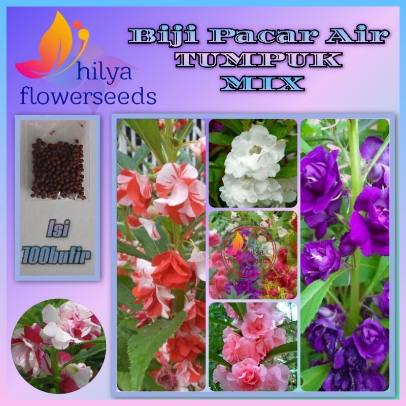 Jual Biji Pacar Air TUMPUK (mix) | Shopee Indonesia