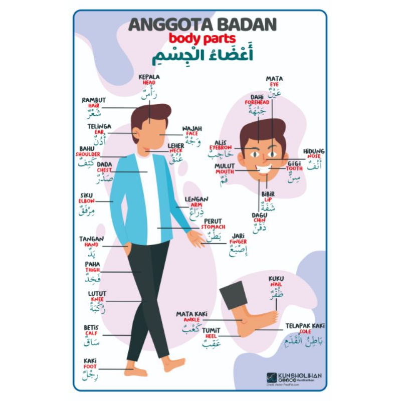 Jual Poster anggota badan 3 bahasa|poster edukasi anak kun sholihan ...
