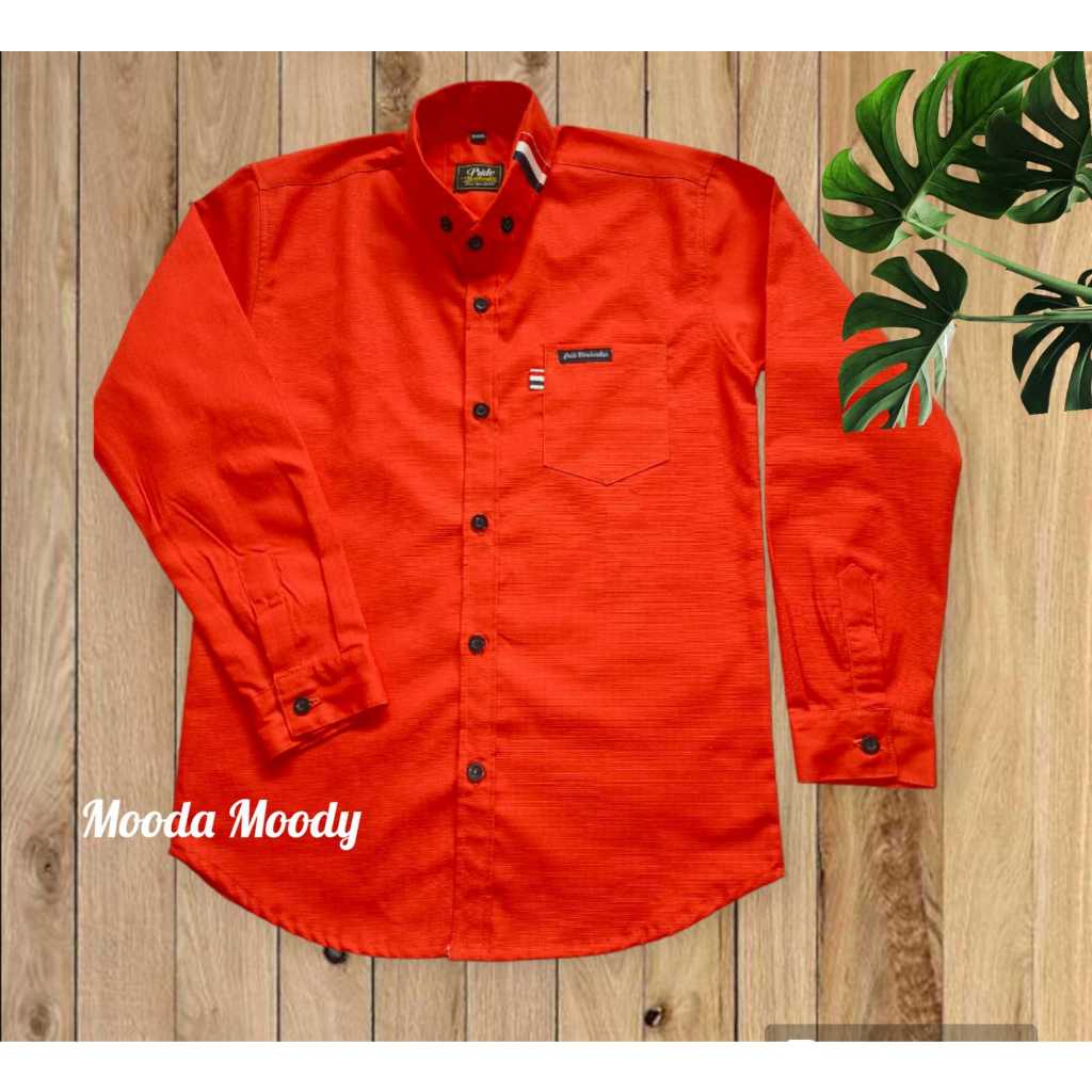 Jual Mooda Moody - Kemeja Anak Lengan Panjang Warna Oranye Kemeja Anak ...
