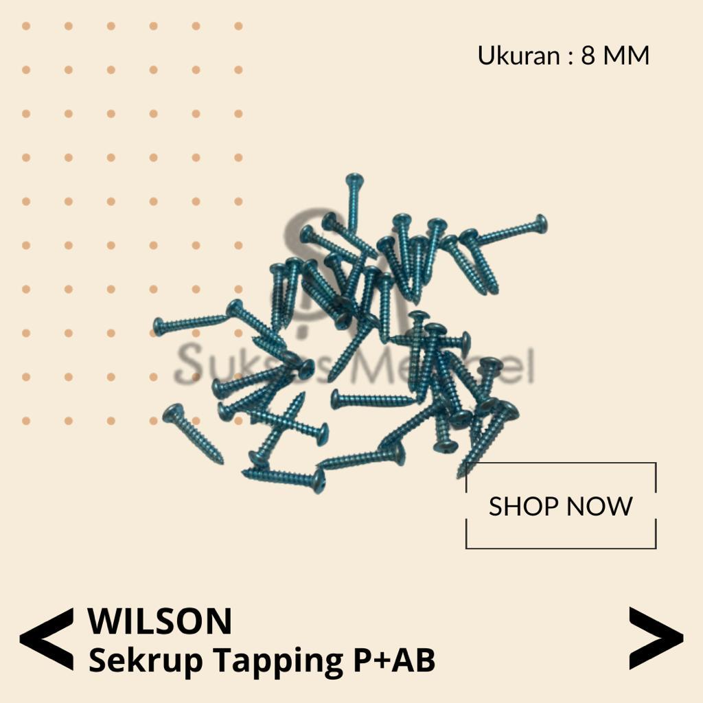 Jual P+AB WILSON 8MM = 1 PAK / SEKRUP TAPPING WILSON KEPALA BULAT 8MM ...