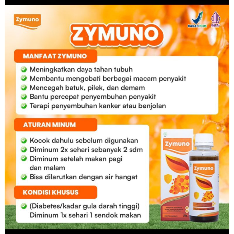Jual zymuno | Shopee Indonesia