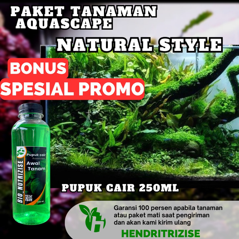 Jual Paket Tanaman Aquascape Natural Style - Tanaman Aquascape | Shopee ... Jual Paket Tanaman Aquascape Natural Style - Tanaman Aquascape | Shopee ...