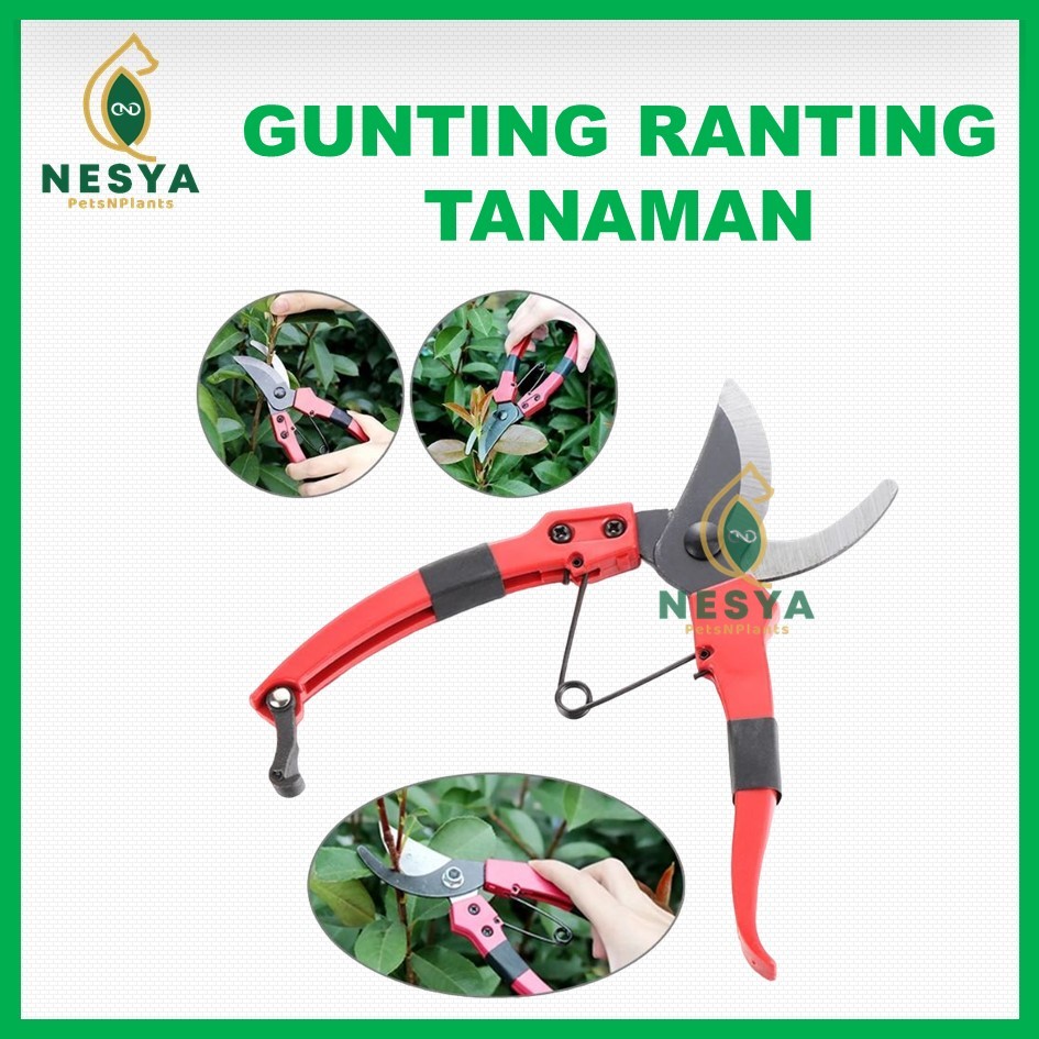 Jual Gunting Tanaman Ranting Dahan Bengkok Pruning Tanaman | Shopee ...