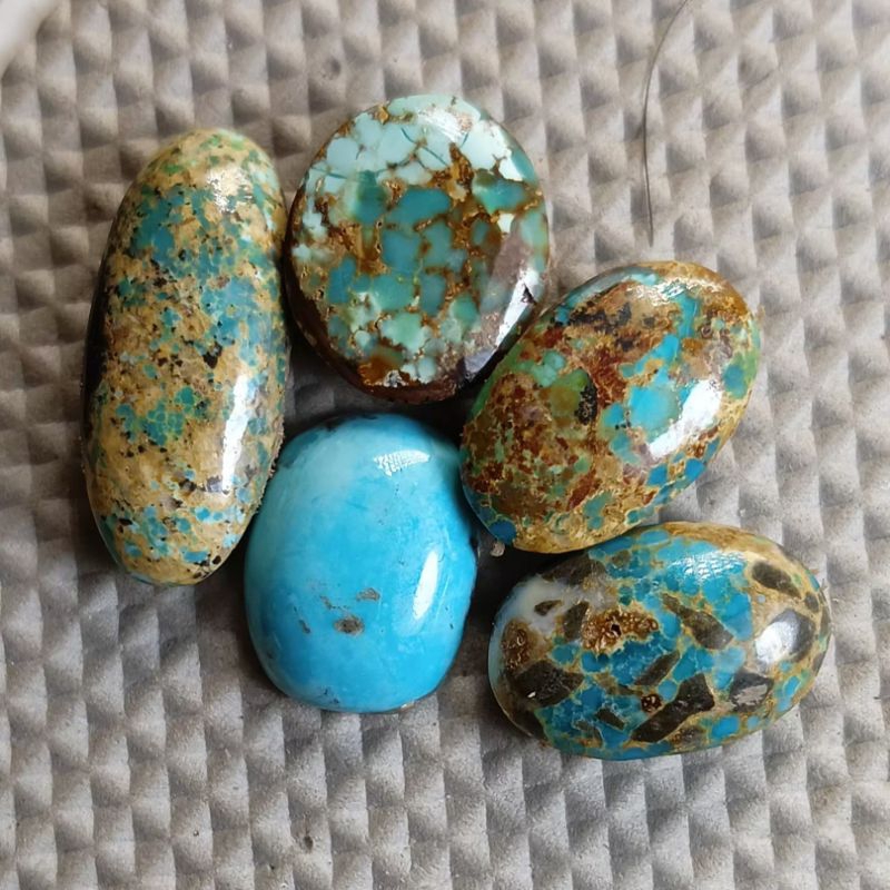 Jual natural Pirus Persia (U) | Shopee Indonesia