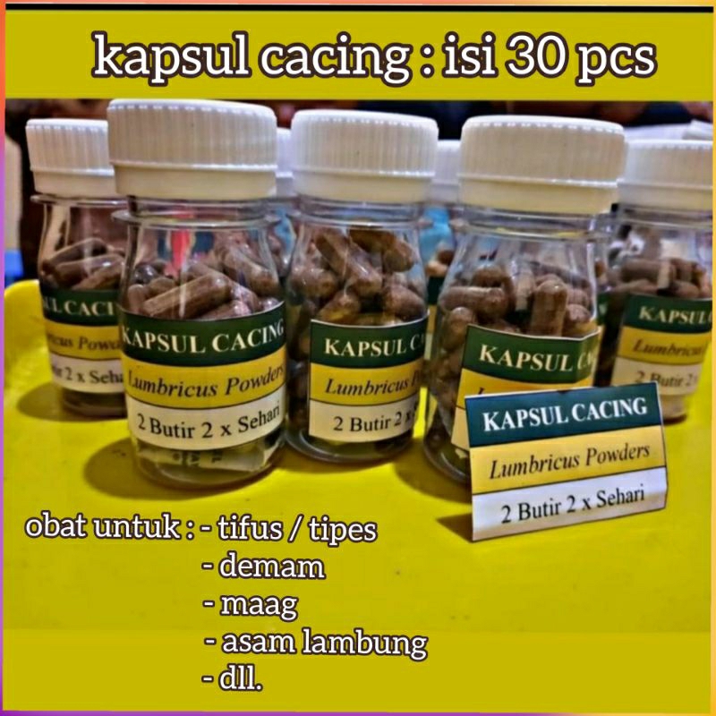 Jual Kapsul cacing obat tipes isi 30 pcs/ kapsul cacing lumbricus ...
