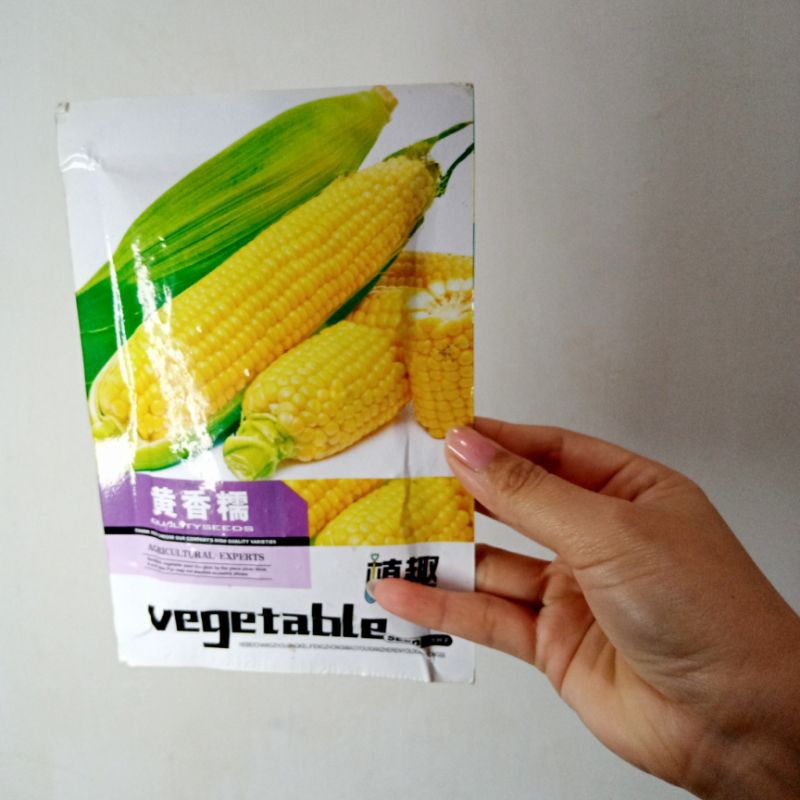 Jual BENIH JAGUNG PULUT MADU ASLI KEMASAN PABRIK | Shopee Indonesia