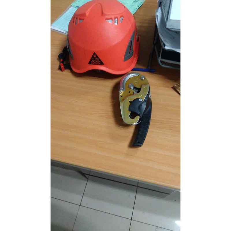 Jual PETZL IDS ID'S I'DS IDL ID'L I'DL Self Braking Descender anti ...