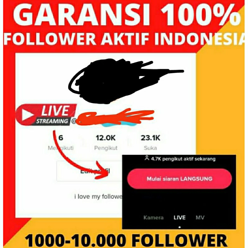 Jual Akun Tiktok Murah (Fyp dan Bergaransi) | Shopee Indonesia