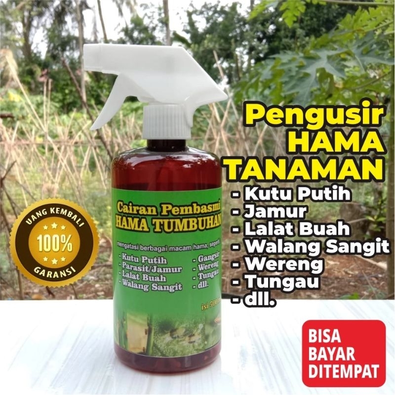 Jual PENGUSIR & PEMBASMI HAMA TUMBUHAN 500 ml | plant | kutu putih ...