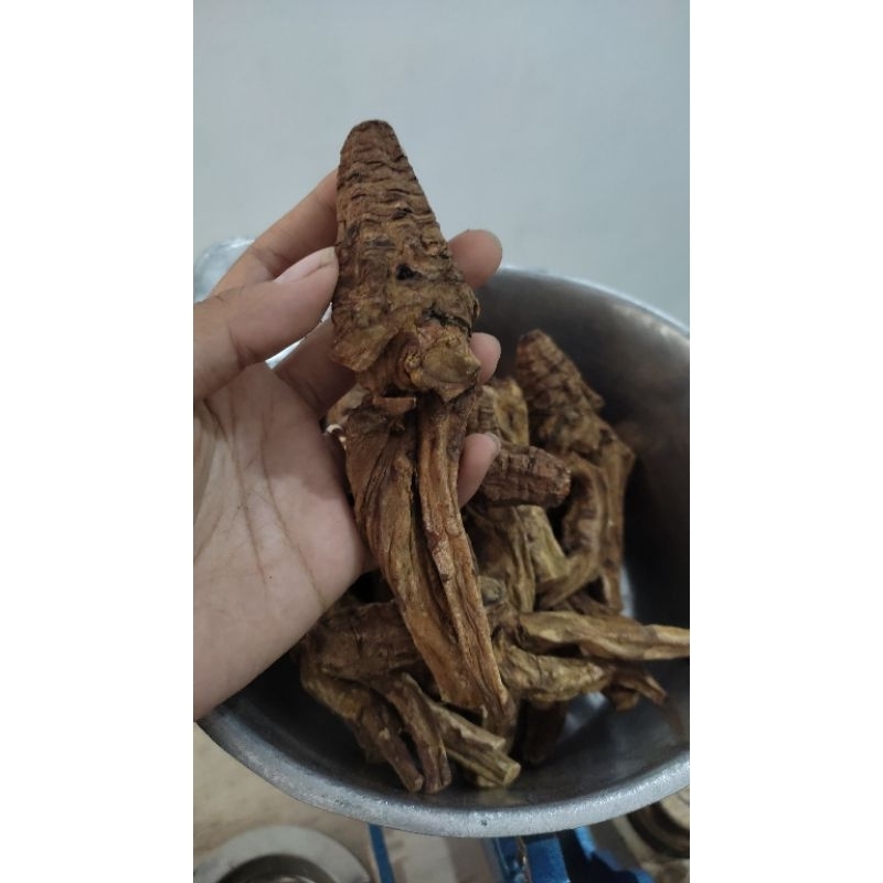 Jual Klembak Grade A 500gr | Shopee Indonesia