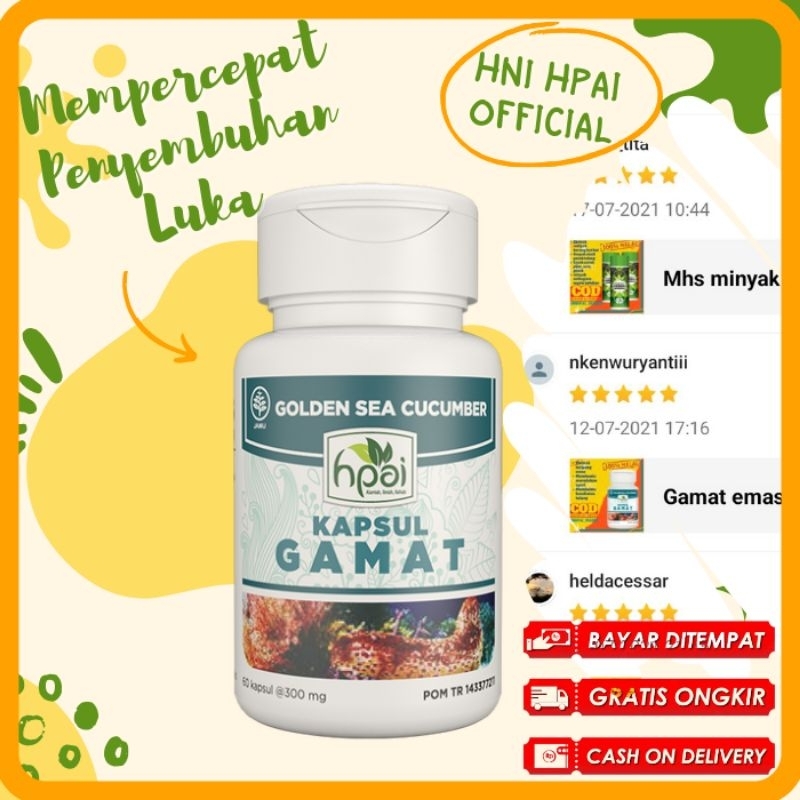 Jual Gamat kapsul hni hpai | Shopee Indonesia