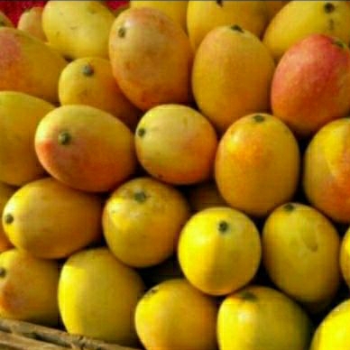 Jual mangga podang,mangga podang segar,buah kaya manfaat,enak manis dan ...