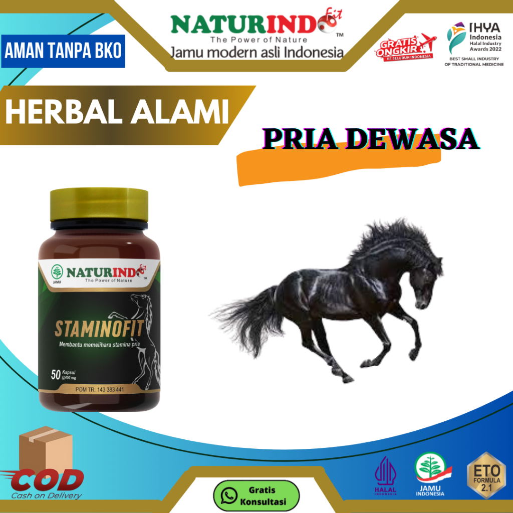 Jual STAMINOFIT HERBAL PENAMBAH STAMINA PRIA TAHAN LAMA SEHAT ALAMI NATURINDO | Shopee Indonesia