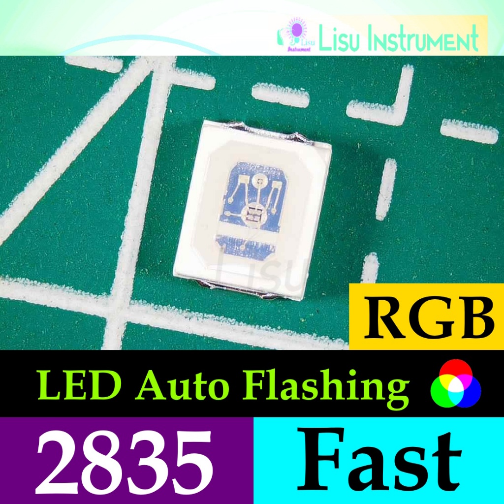Jual 2835 LED RGB Automatic Flashing Blinking Animation Slow or Fast ...
