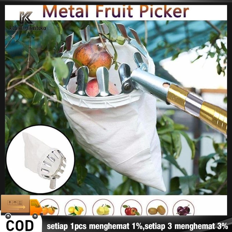 Jual Pemetik Buah Logam Berkebun Berkebun Persik Apel Alat Pemetik ...