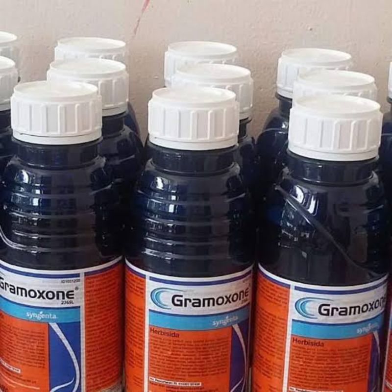 Jual Gramaxone herbisida gramason kemasan 250 ml | Shopee Indonesia