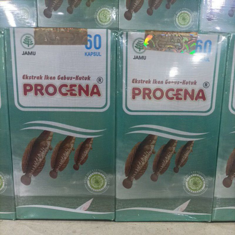 Jual PROCENA 60 KAPSUL Ekstrak ikan gabus / Ekstrak ikan kutuk | Shopee ...